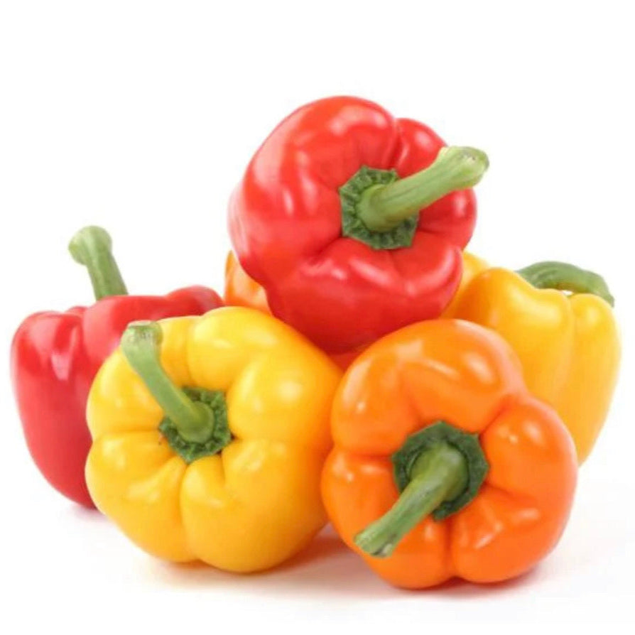 Chile Morron varios colores – Mercado a Casa